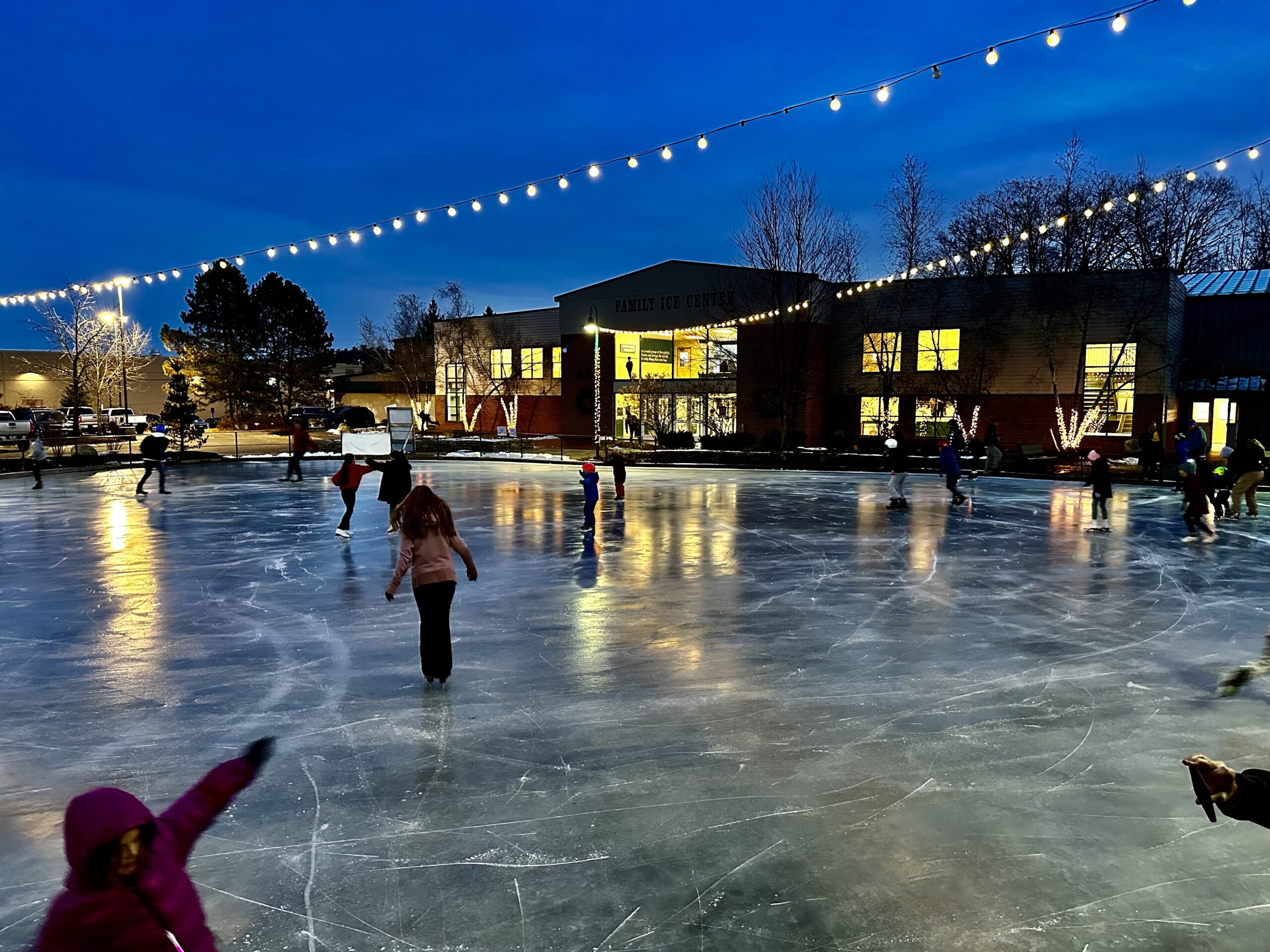 Family Ice – Family Ice